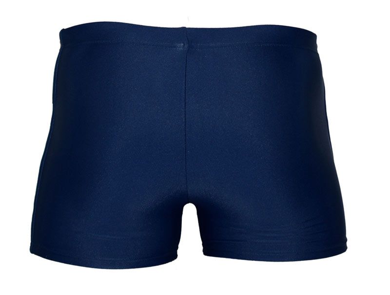 Arena boxer swim trunks